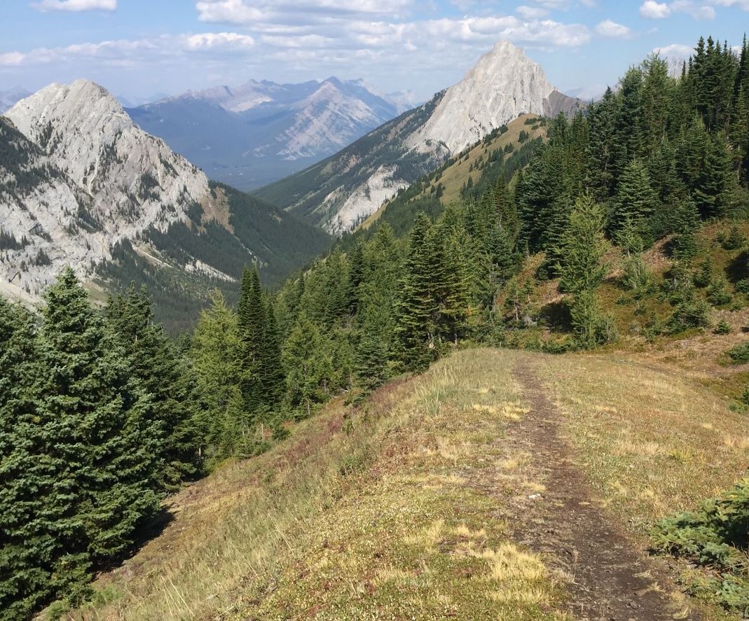 Pocaterra Ridge | Alisen Dopf