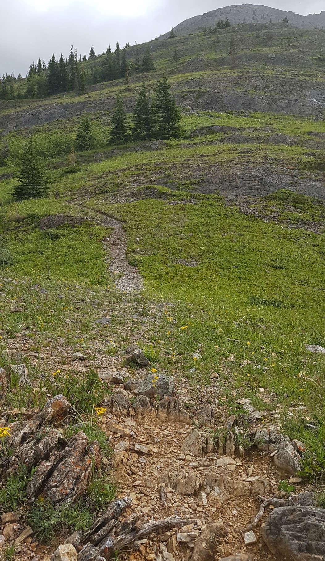 Opal Ridge South – A More Adventurous Hike | Alisen Dopf