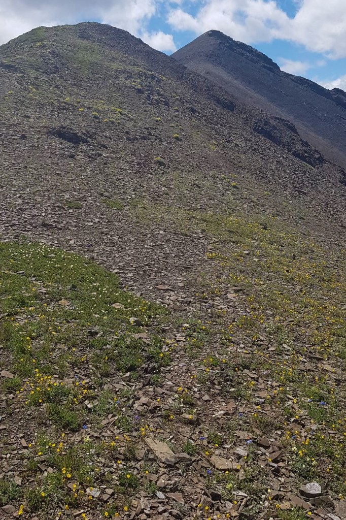 Opal Ridge South – A More Adventurous Hike | Alisen Dopf