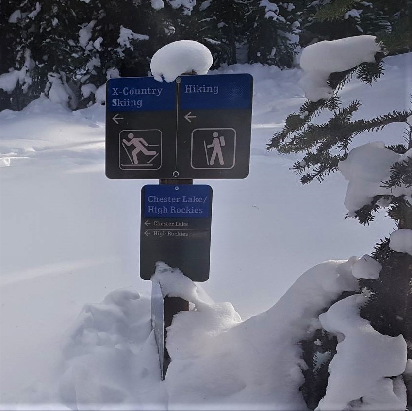 Chester Lake – Winter Ski & Snowshoe Routes | Alisen Dopf