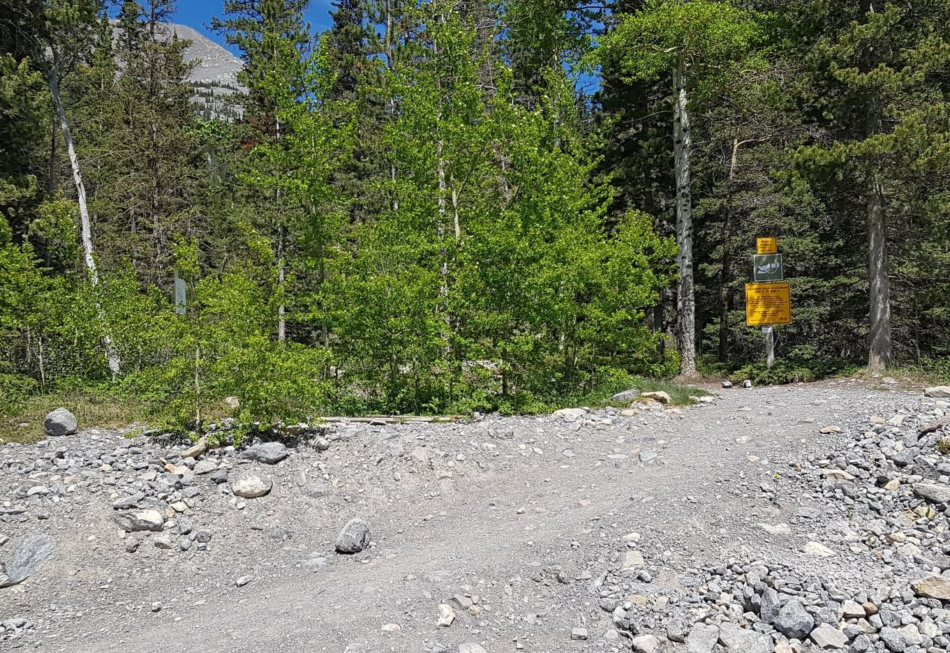 West Wind Pass | Alisen Dopf